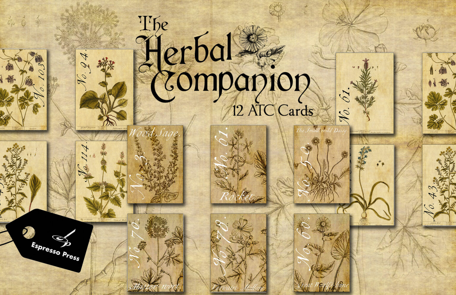 Findings – The Art Scavenger – Mary Ferrari Graphic Design – Espresso ...