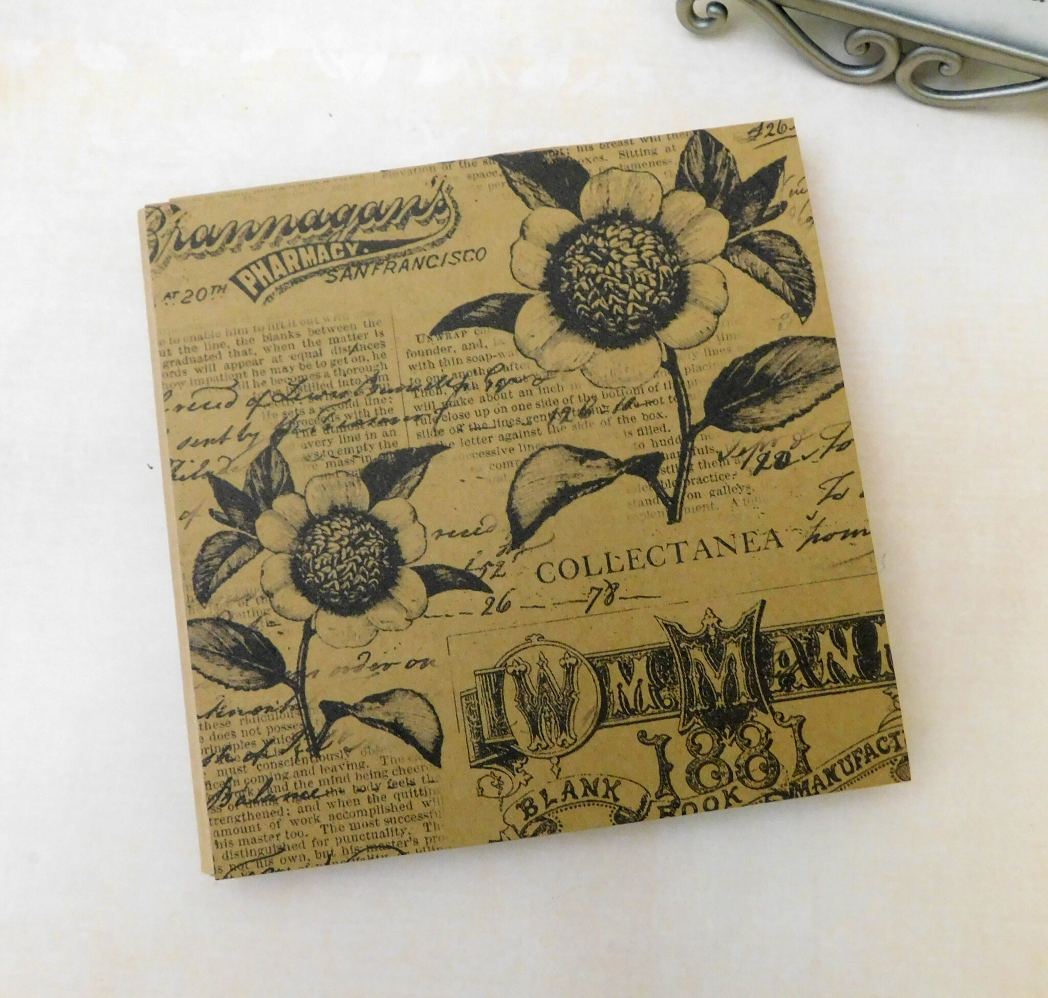 Mary Ferrari Graphic Design – What Can You Create?