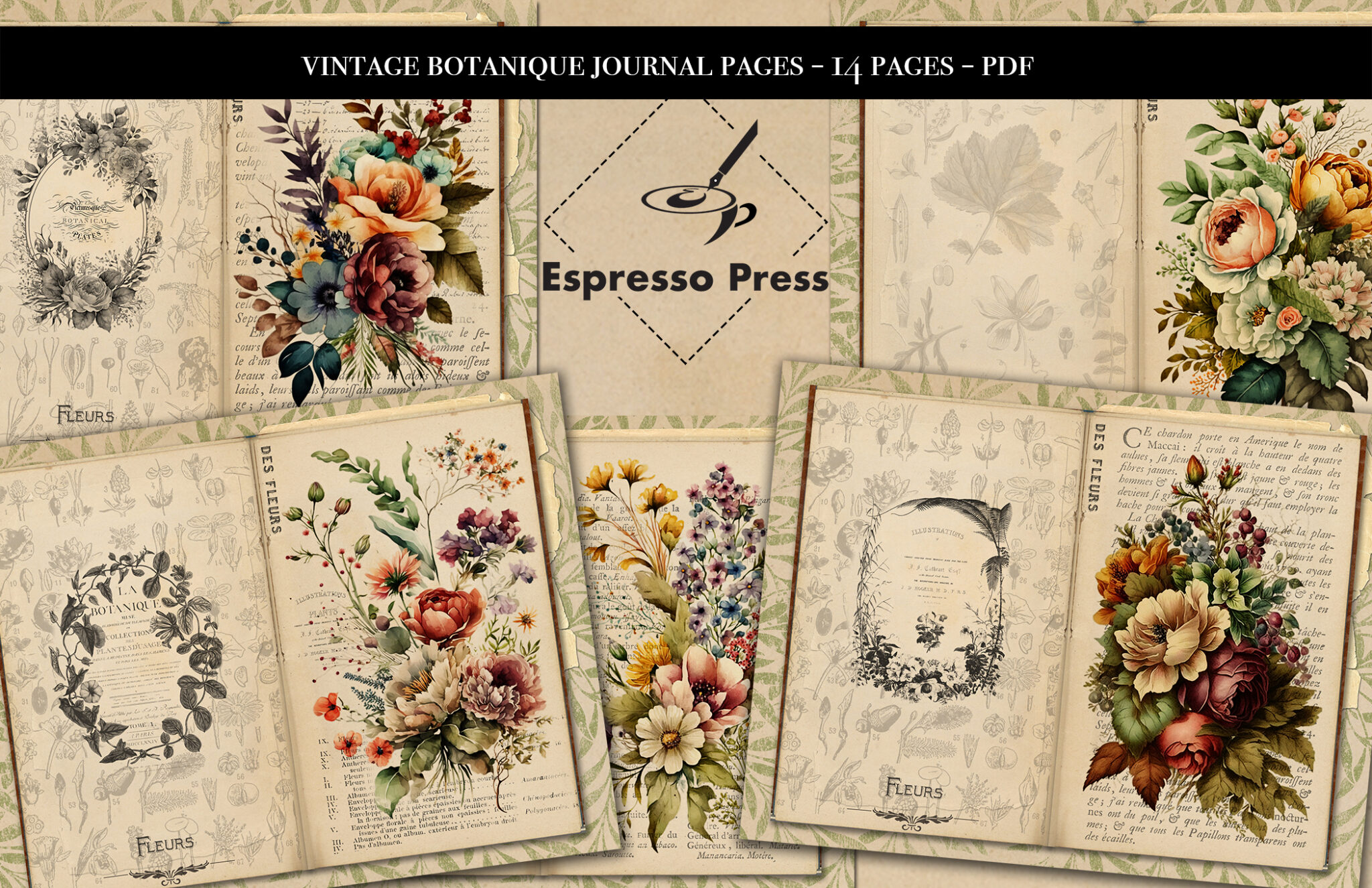 Mary Ferrari Graphic Design – What Can You Create?