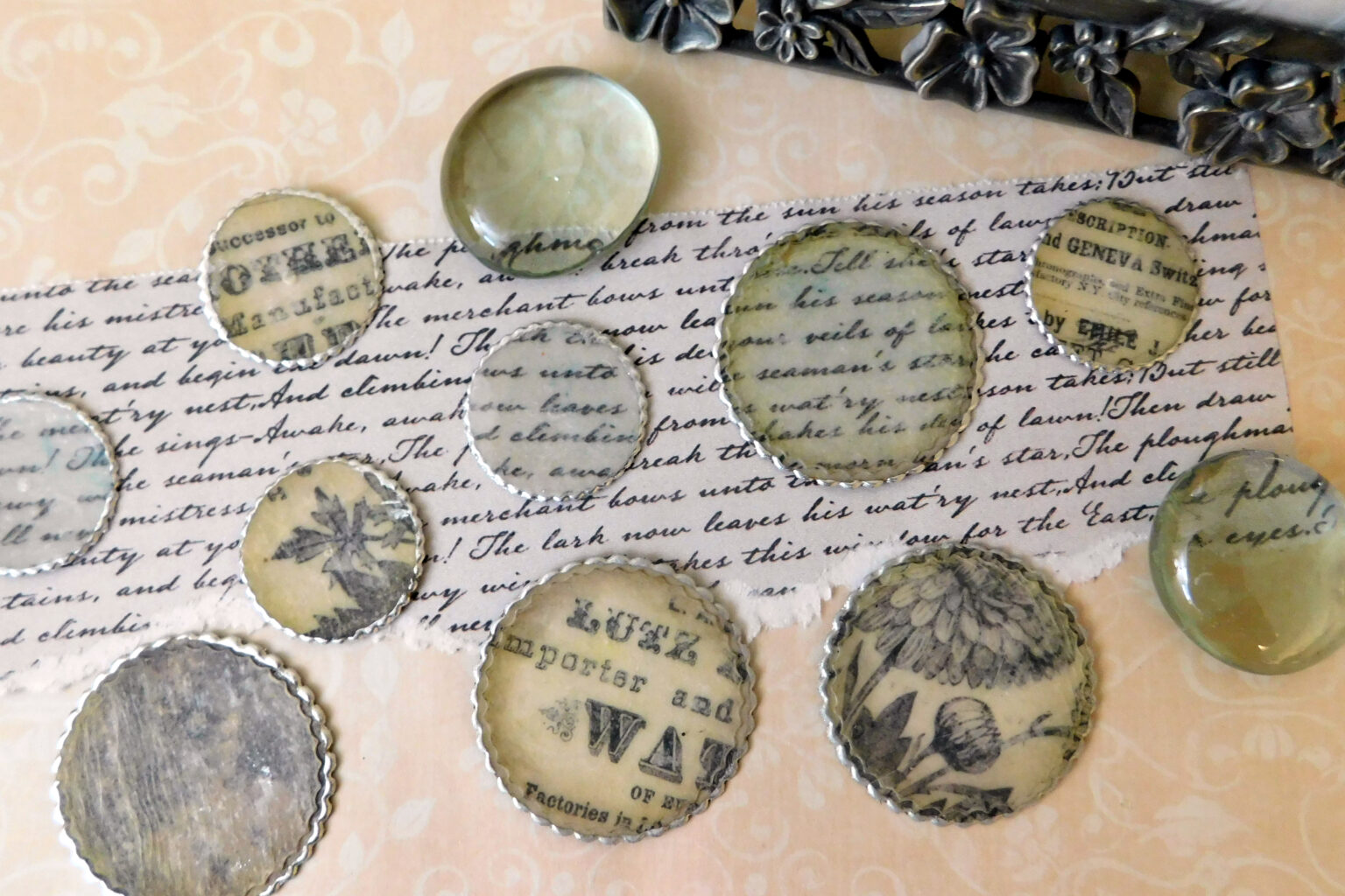 Mary Ferrari Graphic Design – What Can You Create?