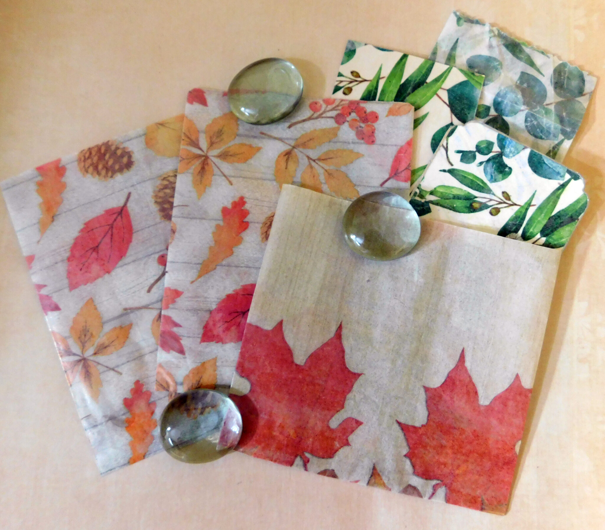 Mary Ferrari Graphic Design – What Can You Create?